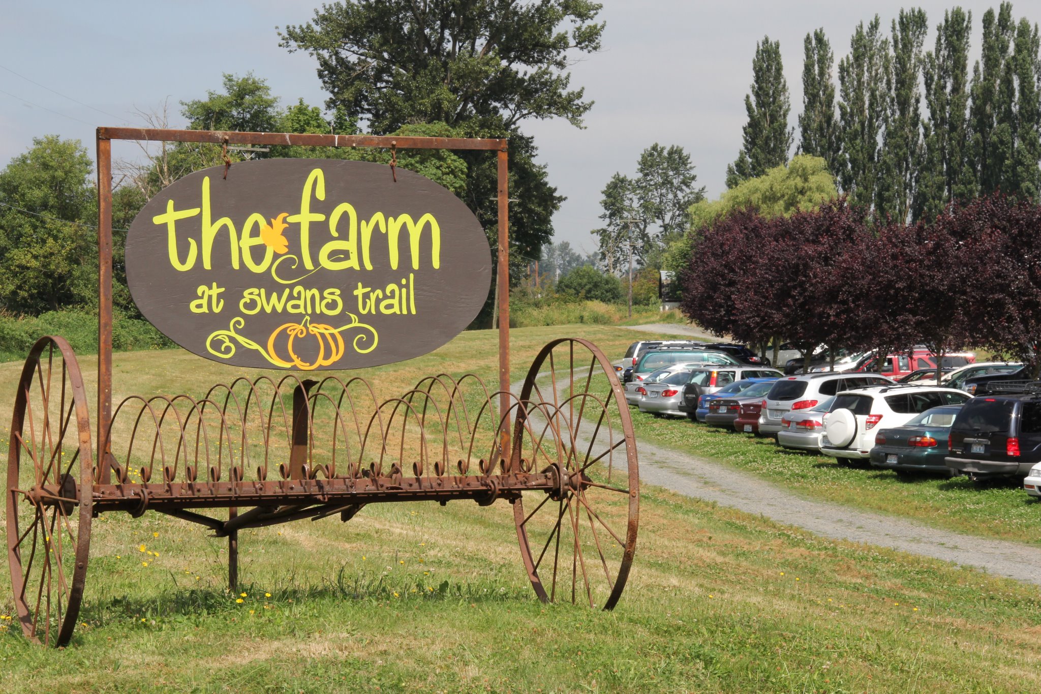 Swans Trail Farms - Snohomish, WA | FarmZenda