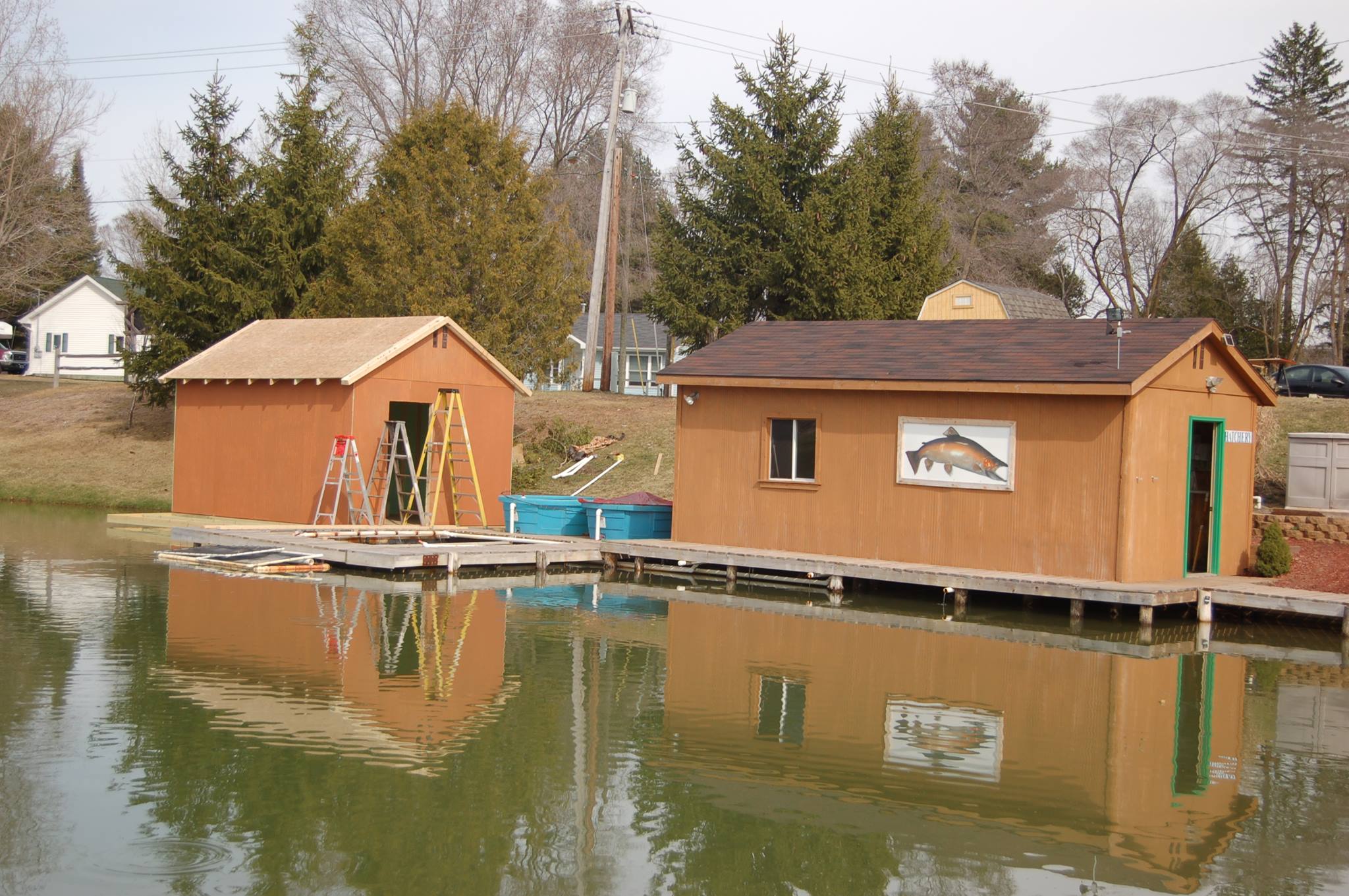 Blue Springs Fish Farm - Gladwin, MI | FarmZenda