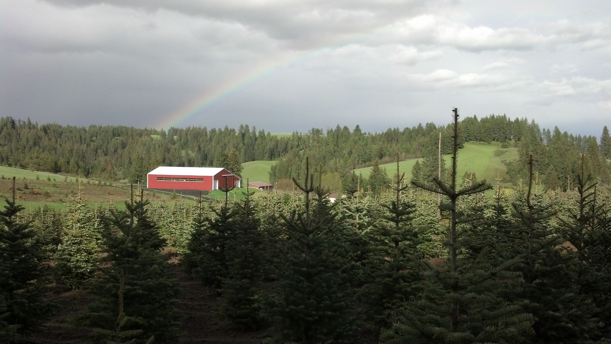 Spring Valley Family Tree Farm - Troy, ID | FarmZenda