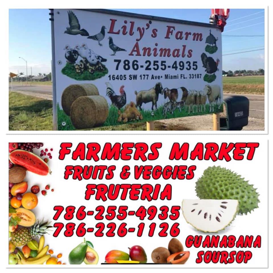 Lily's Farm Animals & Lily's Farmers Market - Miami, FL | FarmZenda
